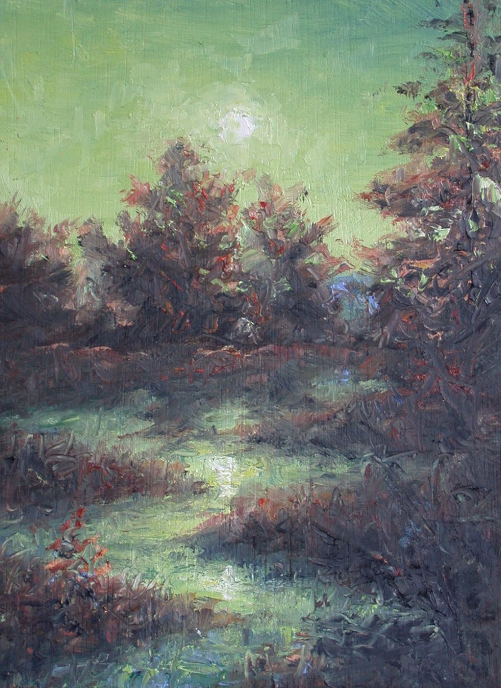 Moonlit Lagoon | Thomas Creed | Fine Artist